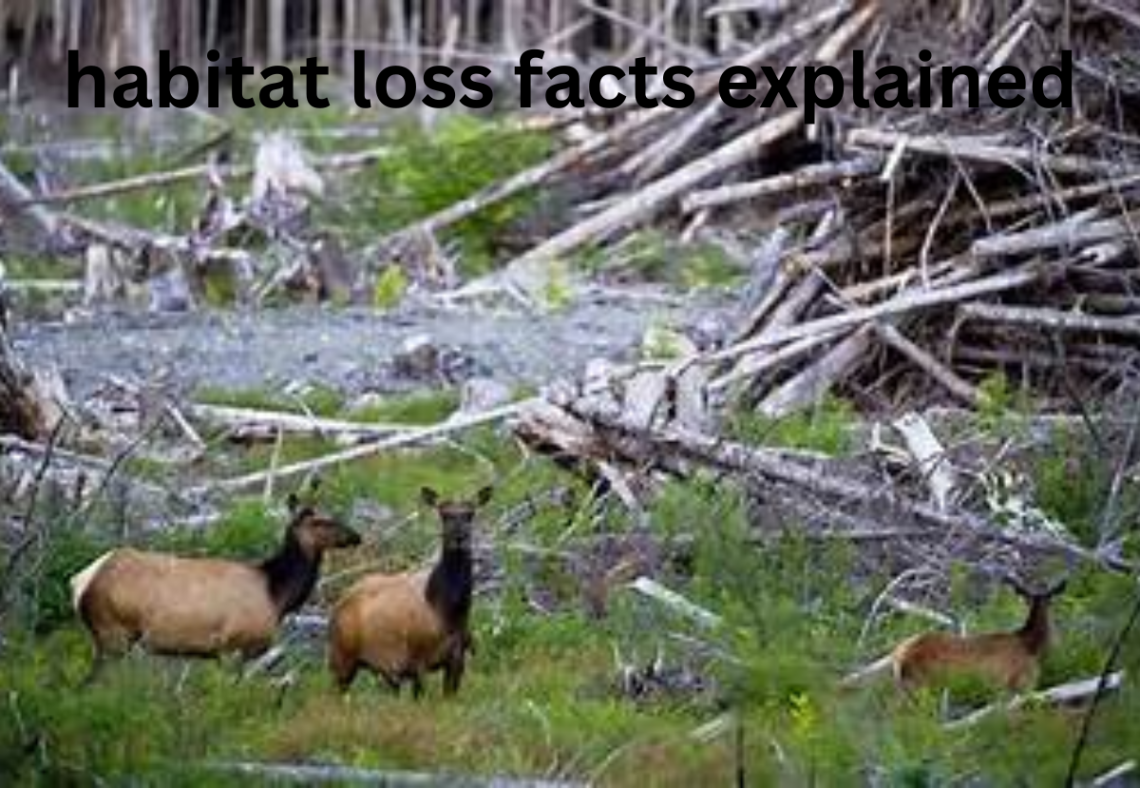 Habitat Loss Facts Explained: Causes, Effects & Solutions